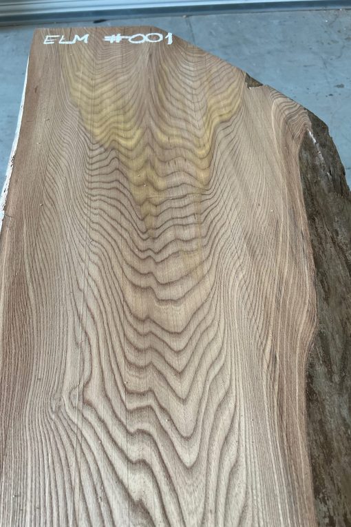Elm #002 Buy Now %%wc_price%% ⁄ Elephant Timber Supplies East Sussex