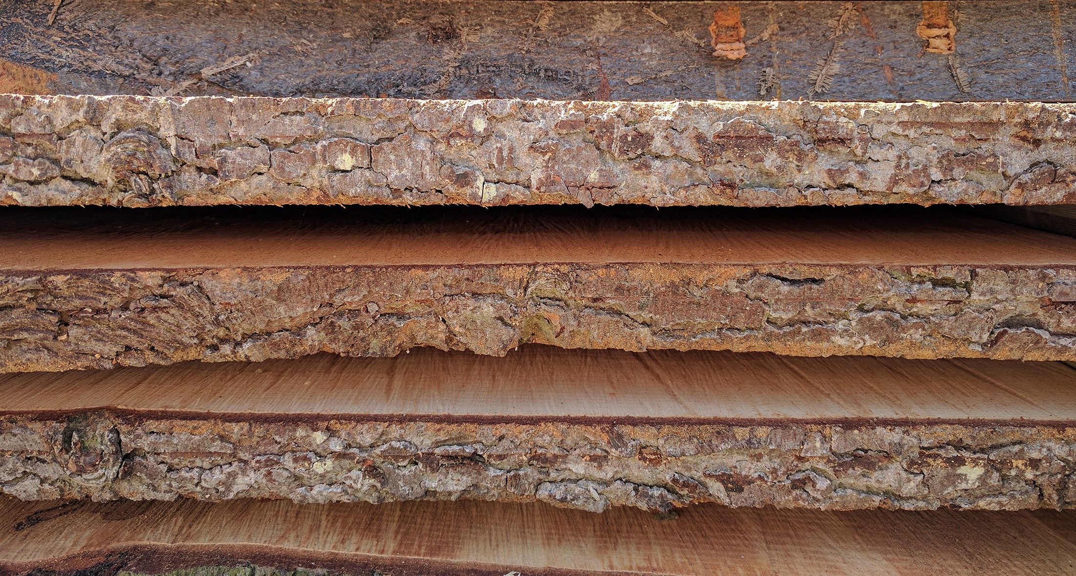 newbg-compressor ⁄ Elephant Timber Supplies