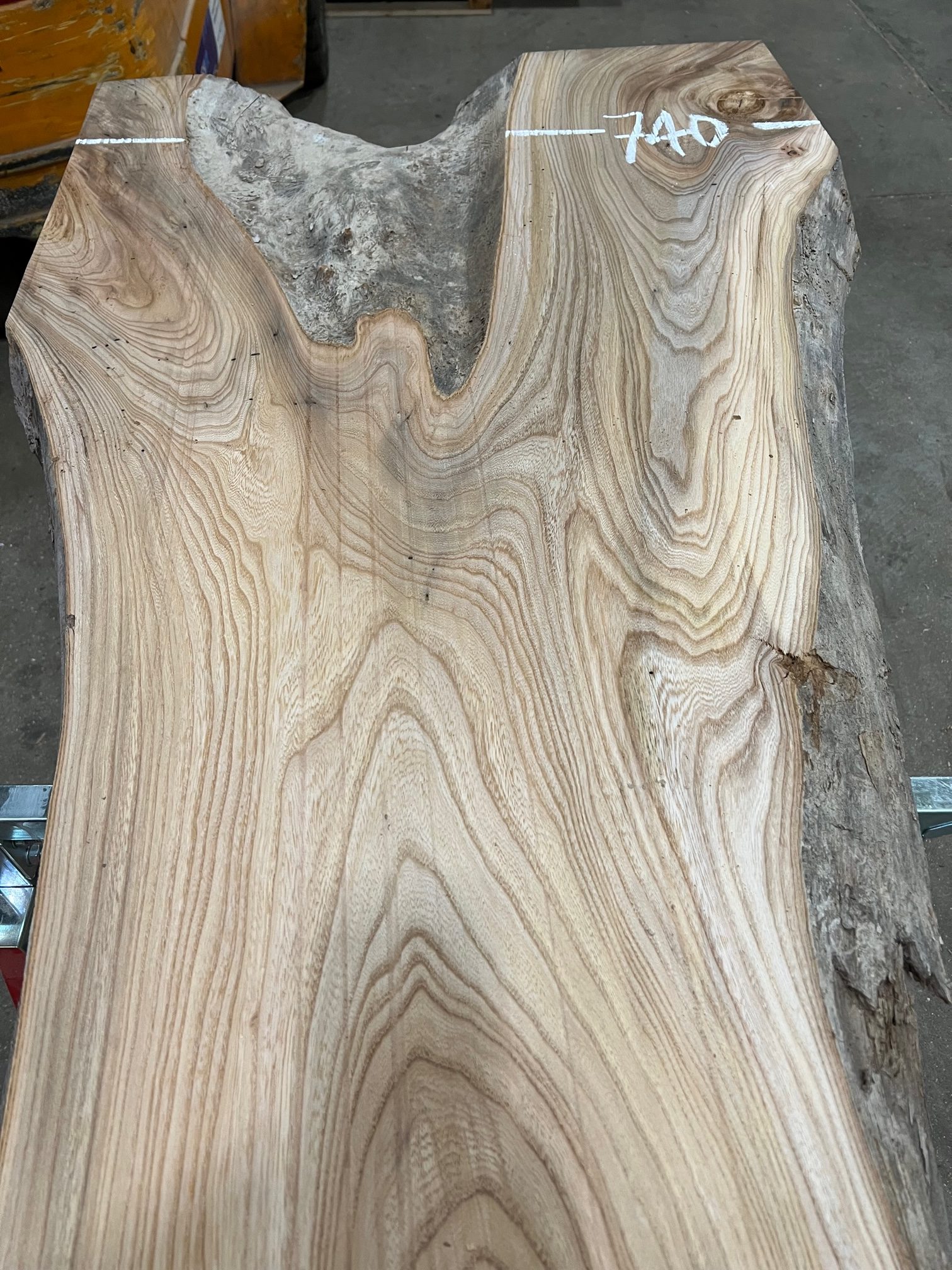 Live edge Elm #003 - Elephant Timber Supplies East Sussex