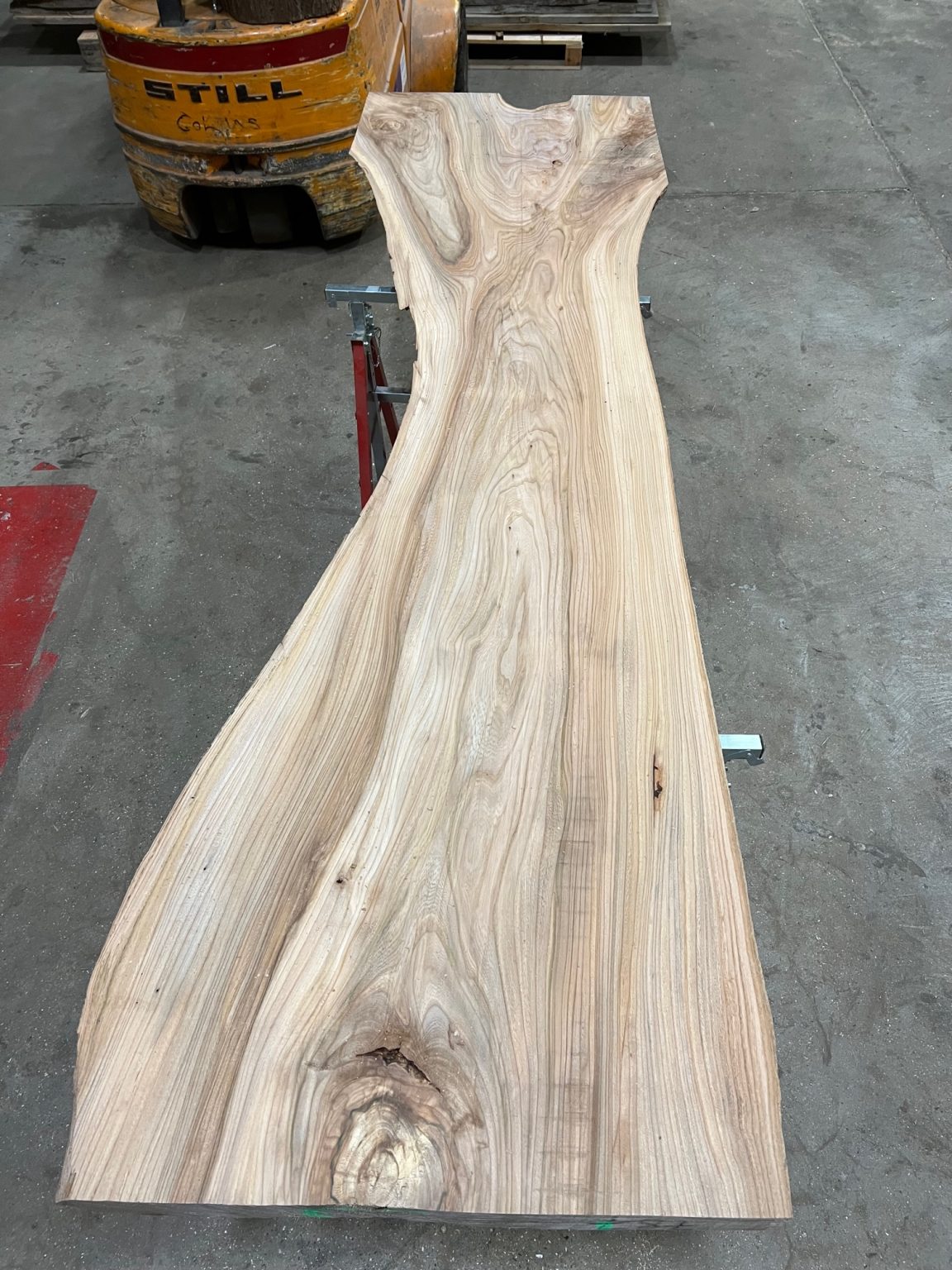 Live edge Elm #003 - Elephant Timber Supplies East Sussex