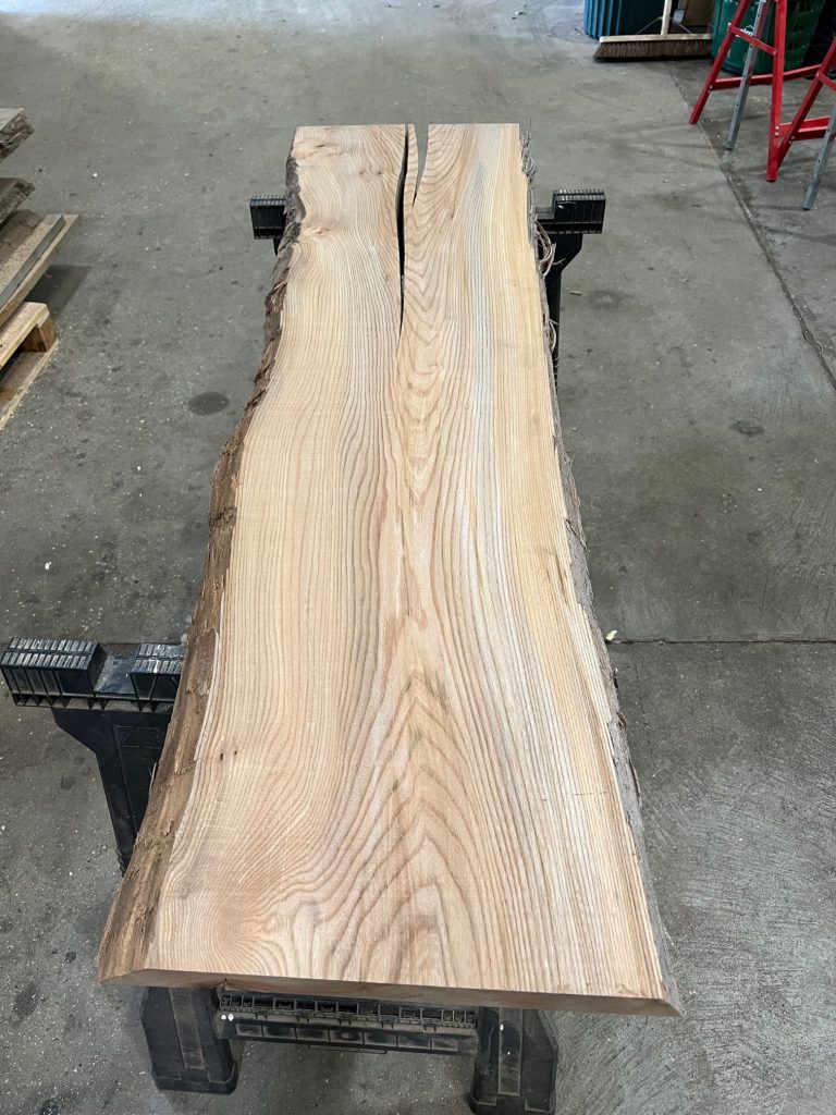 Elm #003 ⁄ Elephant Timber Supplies