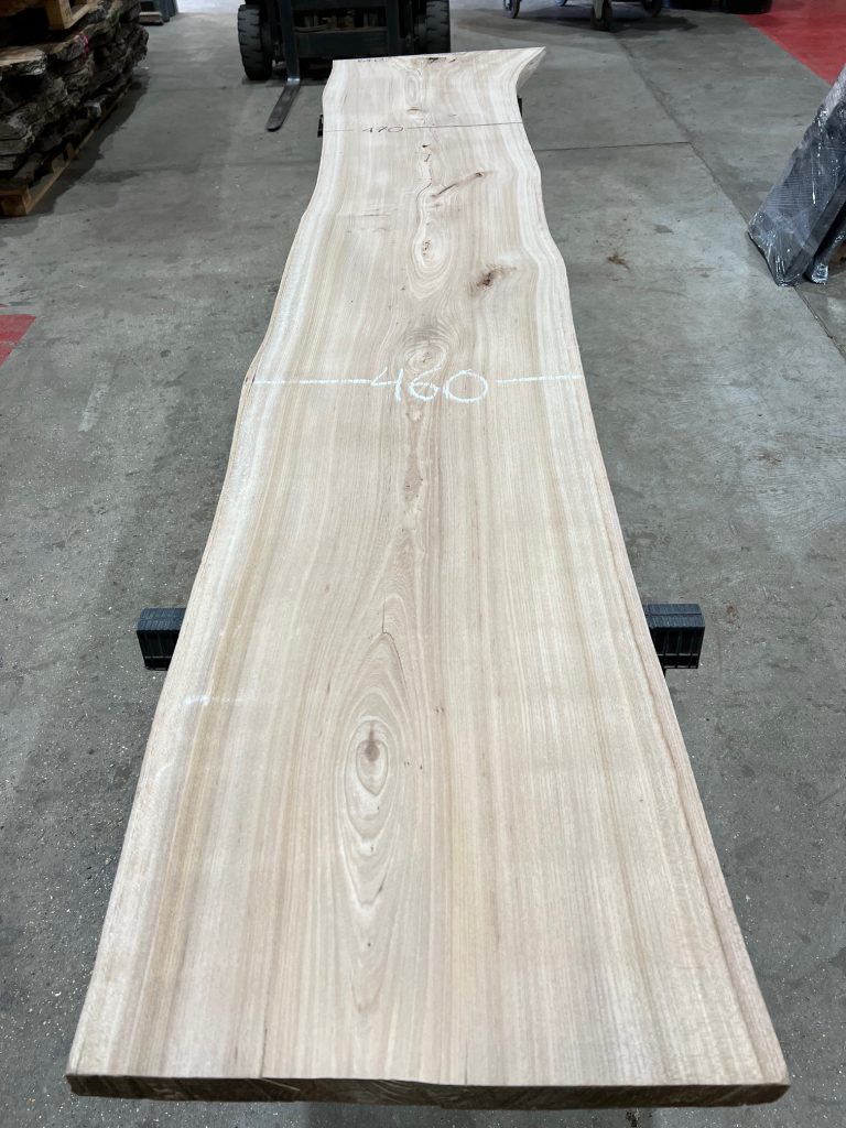 Elm #003 ⁄ Elephant Timber Supplies