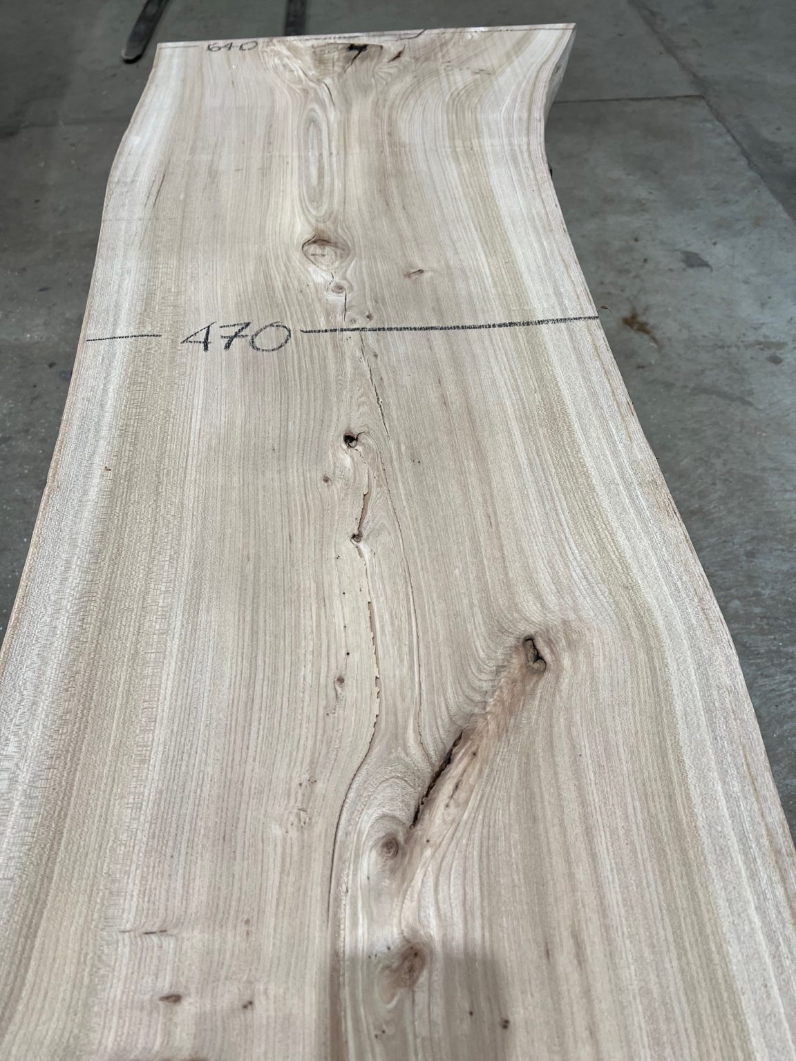 Elm #003 ⁄ Elephant Timber Supplies