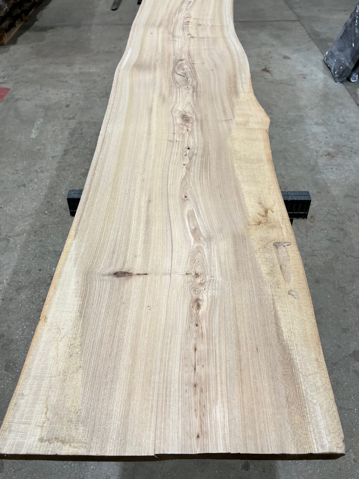 Elm #003 ⁄ Elephant Timber Supplies