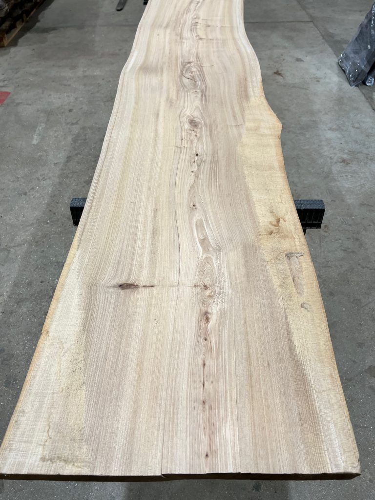 Elm #003 ⁄ Elephant Timber Supplies