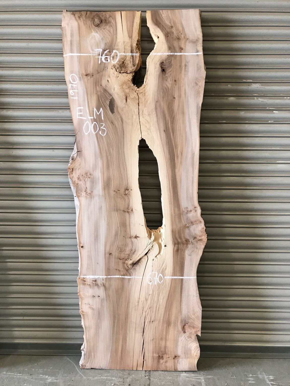 Elm #003 ⁄ Elephant Timber Supplies