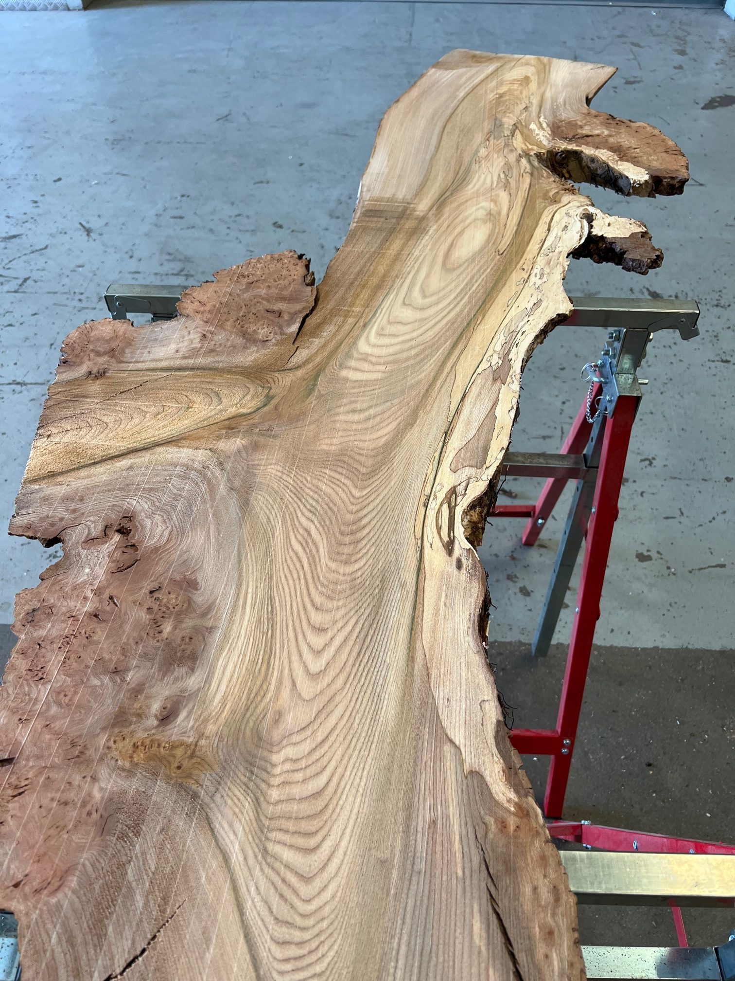 Burr Elm #018 Buy Now %%wc_price%% ⁄ Elephant Timber Supplies East Sussex