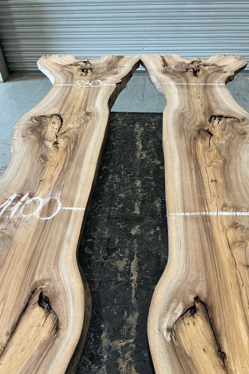 Elm #002 Buy Now %%wc_price%% ⁄ Elephant Timber Supplies East Sussex