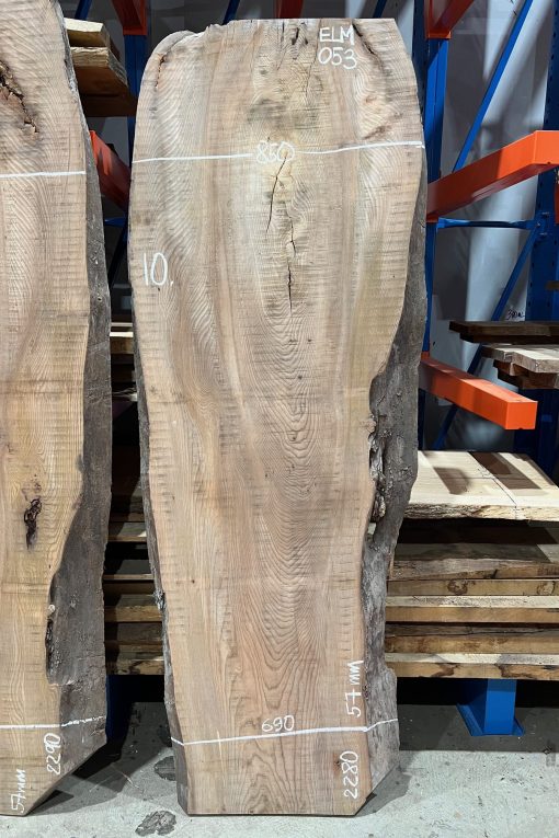 Live Edge Elm Kiln Dried ⁄ Elephant Timber Supplies