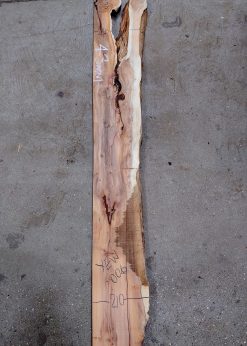 Live Edge Yew Timber Elephant Timber supplies in East Sussex