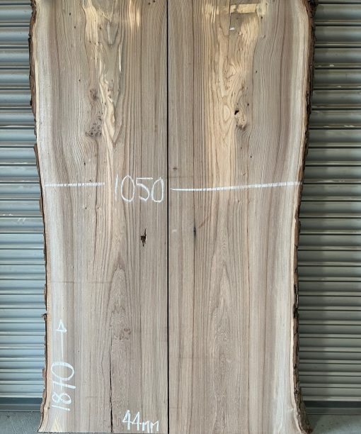 Elm #002 Buy Now %%wc_price%% ⁄ Elephant Timber Supplies East Sussex