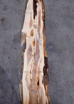 Live Edge Yew Timber Elephant Timber supplies in East Sussex