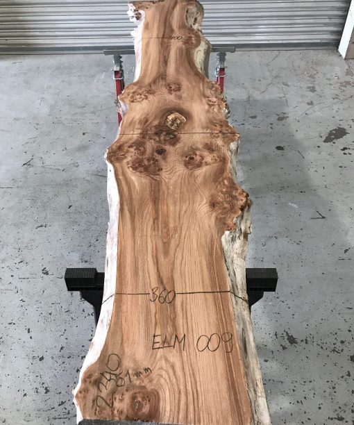 Live Edge Elm Kiln Dried ⁄ Elephant Timber Supplies
