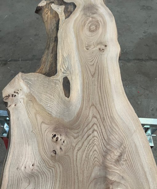 Elm #003 ⁄ Elephant Timber Supplies