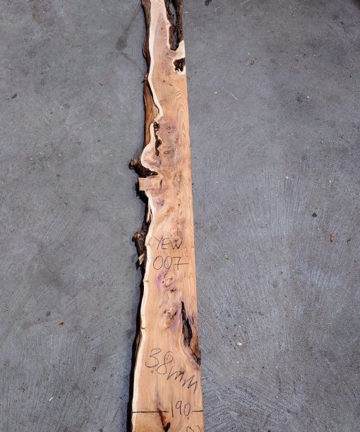 Premium Quality Kiln-Dried Yew Timber for Furniture, Flooring, and Millwork