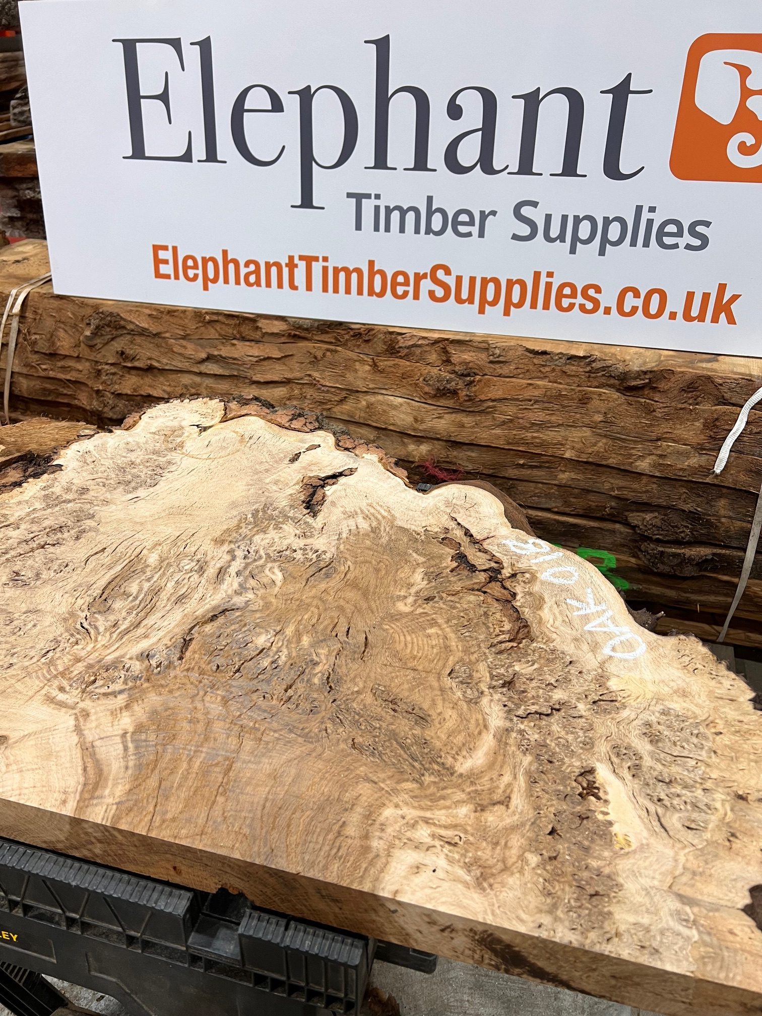 Burr Oak #018 ⁄ Elephant Timber Supplies