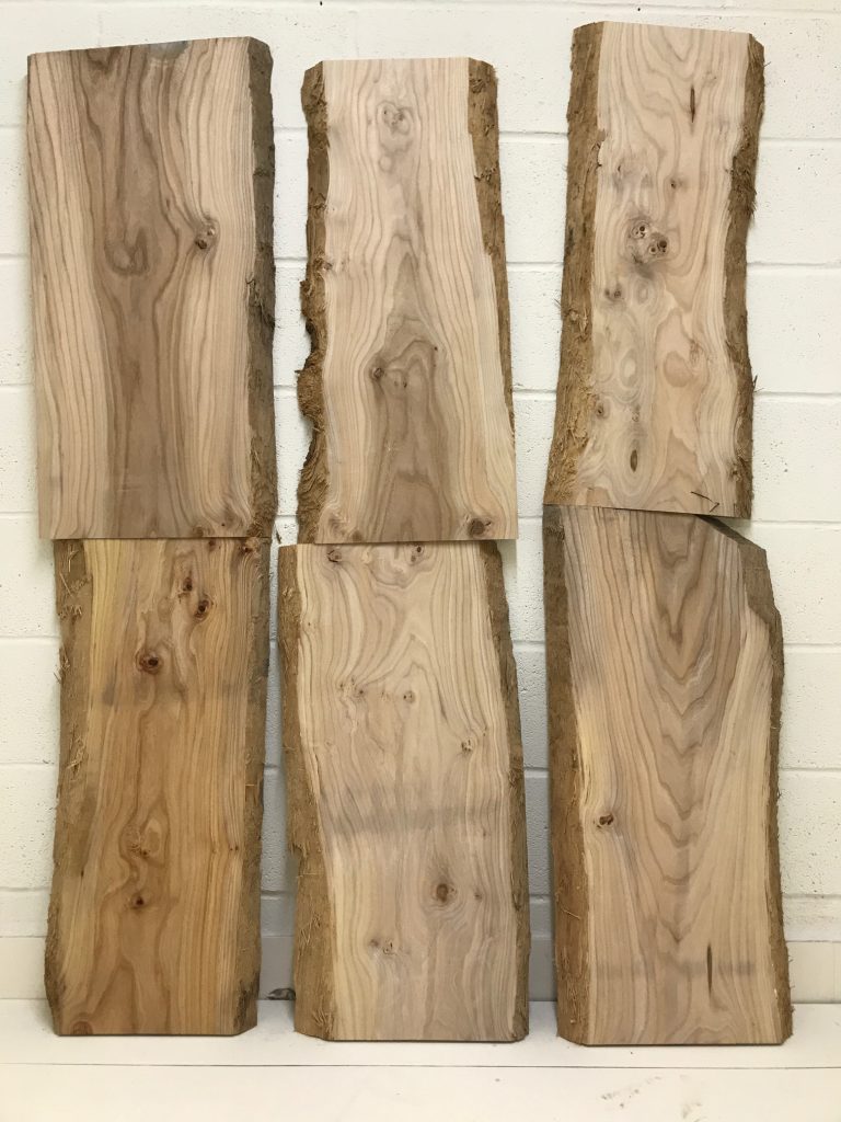 Elm Blank Boards ⁄ Elephant Timber Supplies
