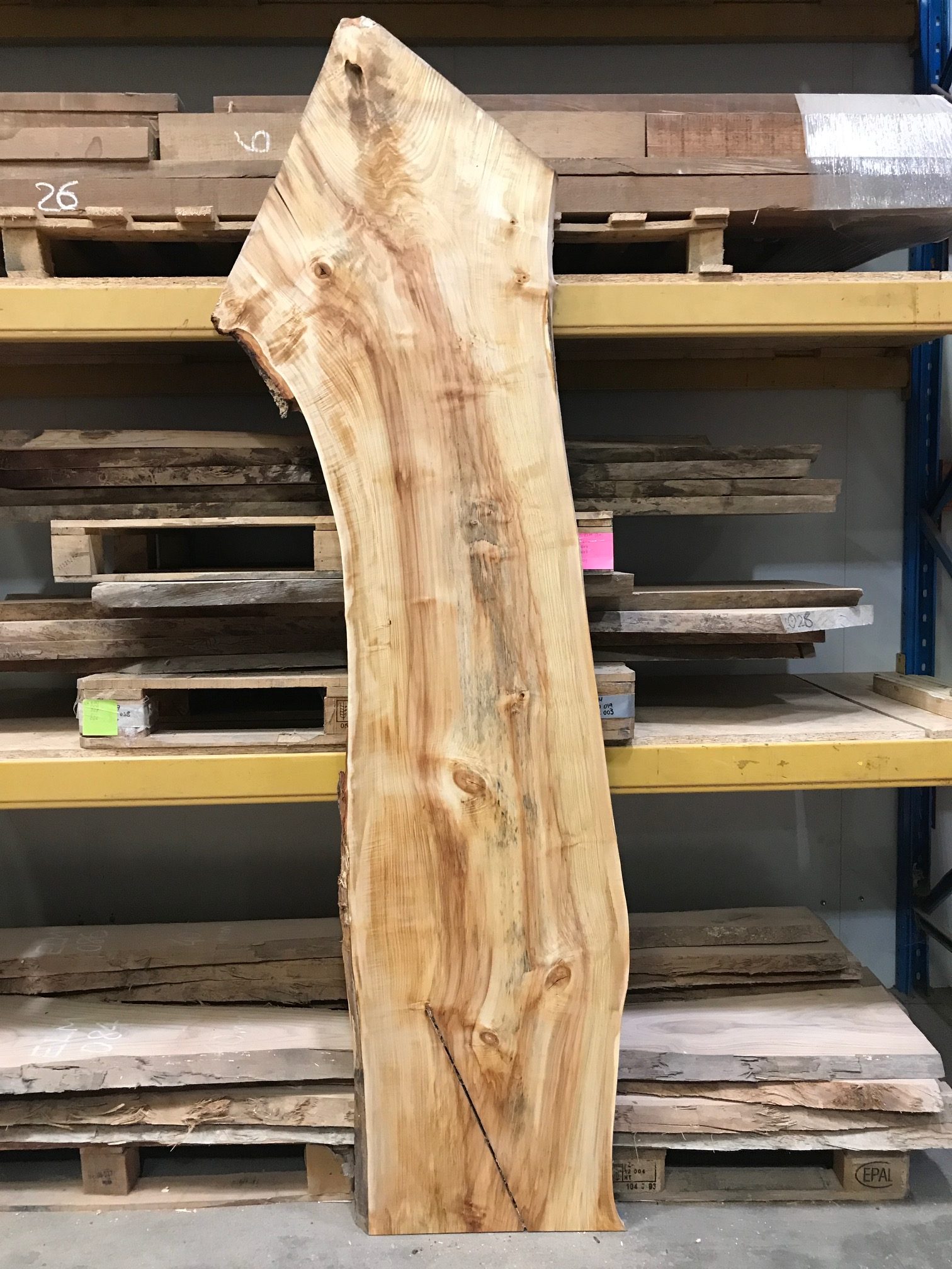 Live edge English Horse Chestnut #002 - Elephant Timber Supplies East ...