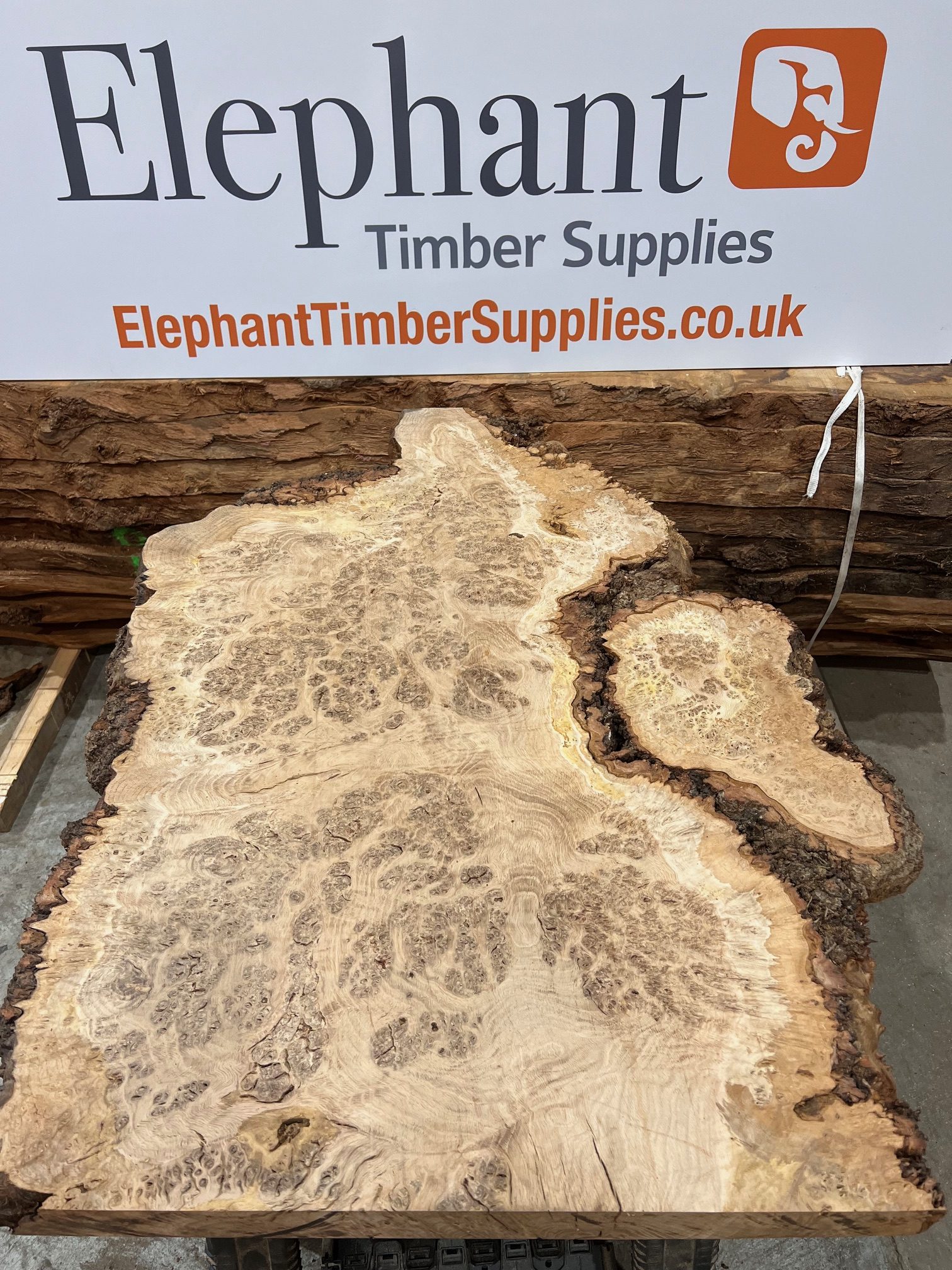 Burr Oak #030 ⁄ Elephant Timber Supplies