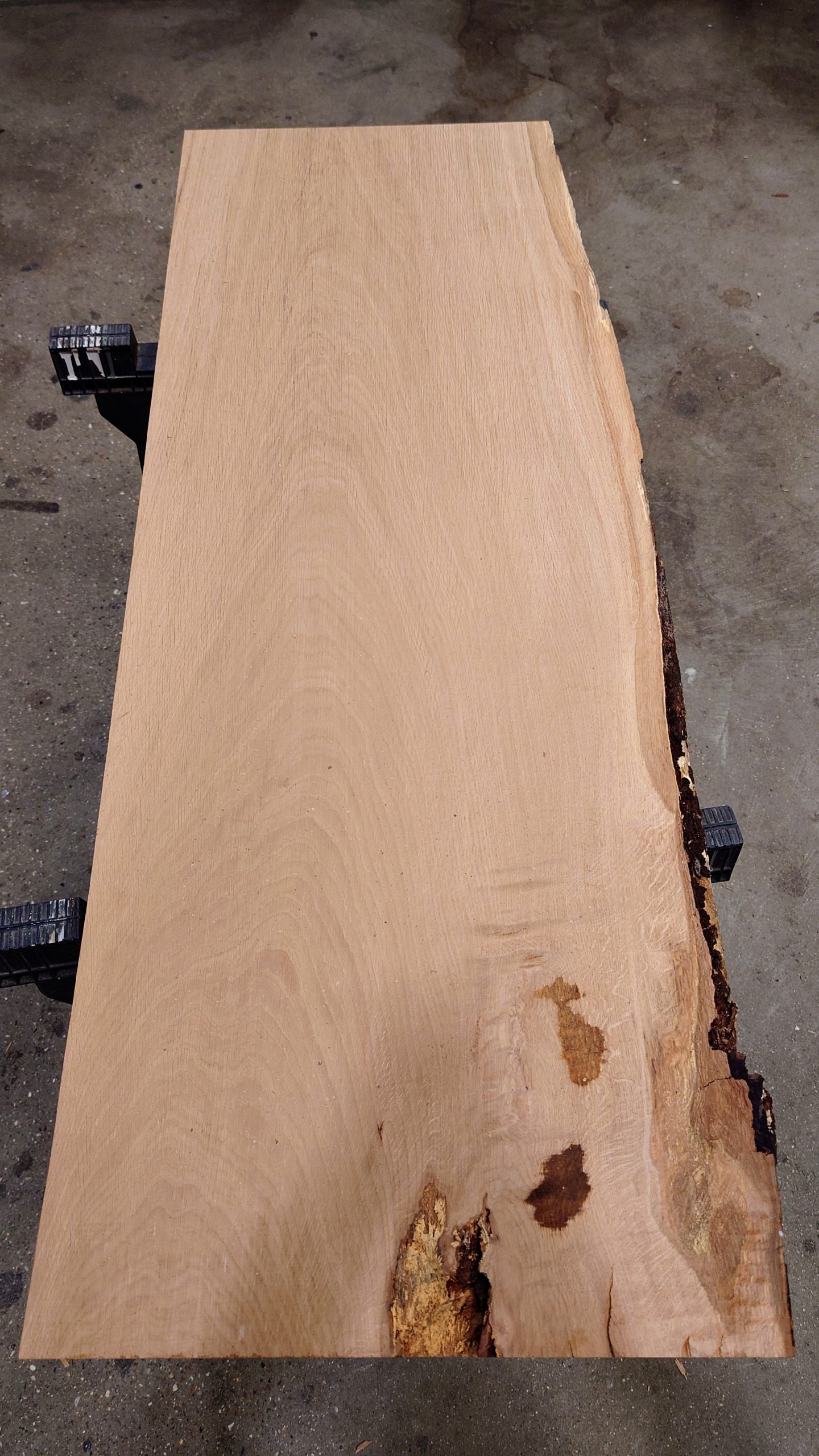 Live edge Oak #011 - Elephant Timber Supplies East Sussex