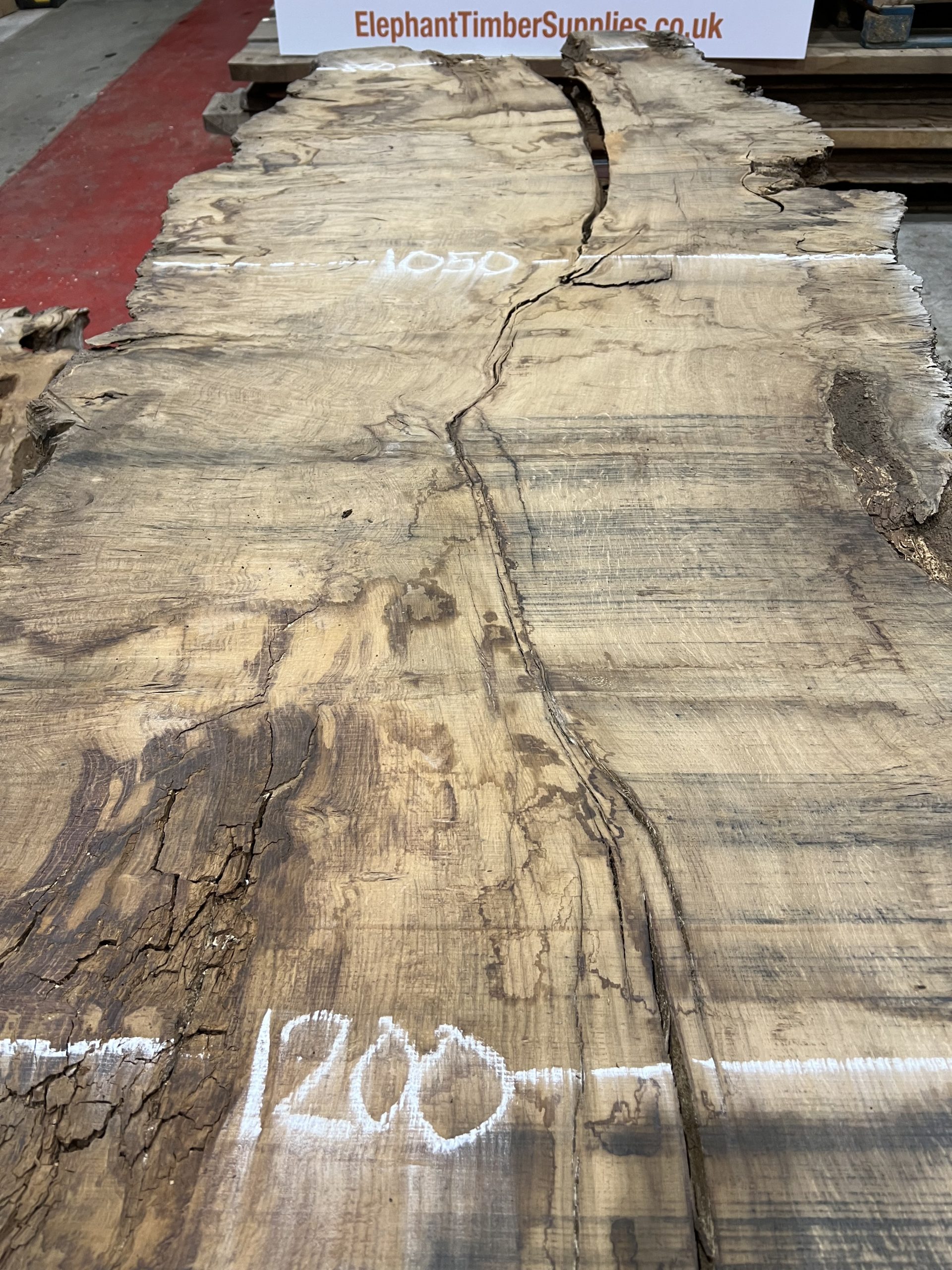 Burr Oak #004 ⁄ Elephant Timber Supplies