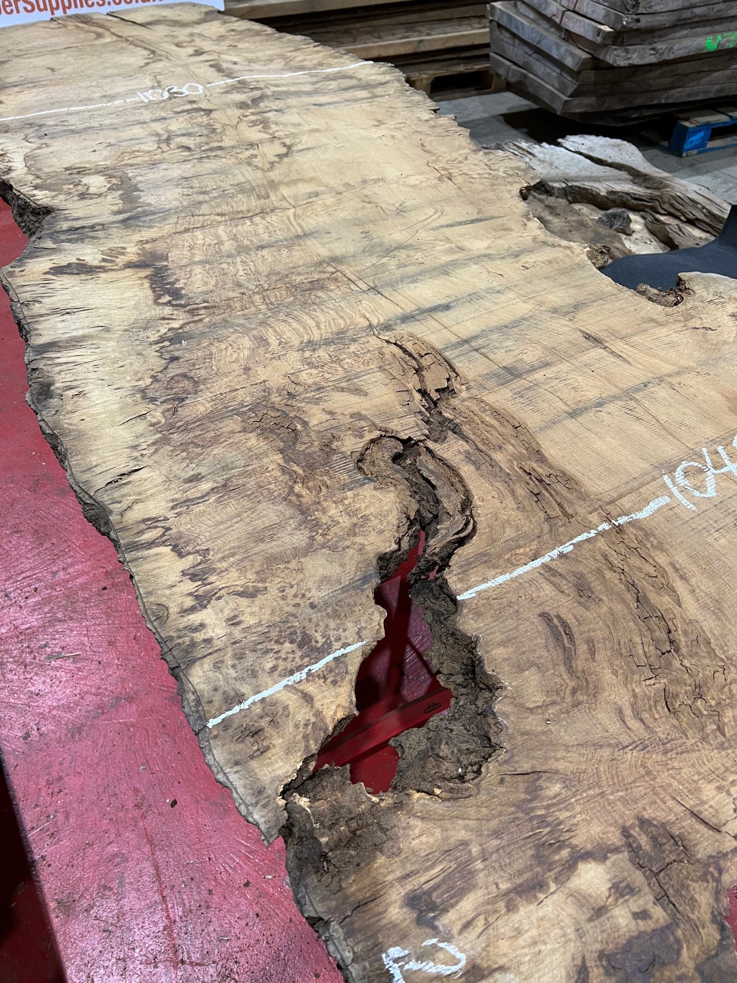 Burr Oak #002 ⁄ Elephant Timber Supplies