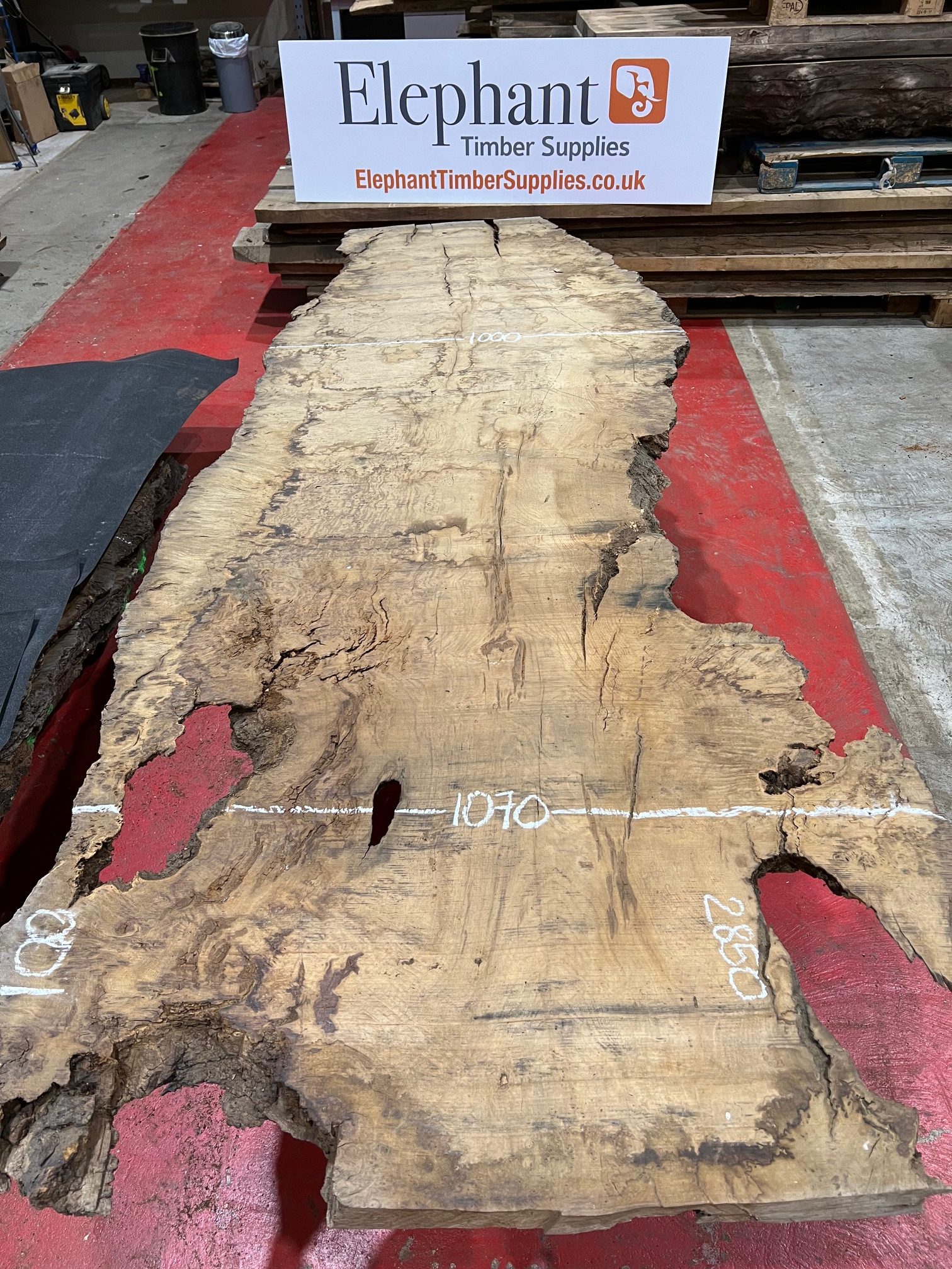 Burr Oak #001 ⁄ Elephant Timber Supplies