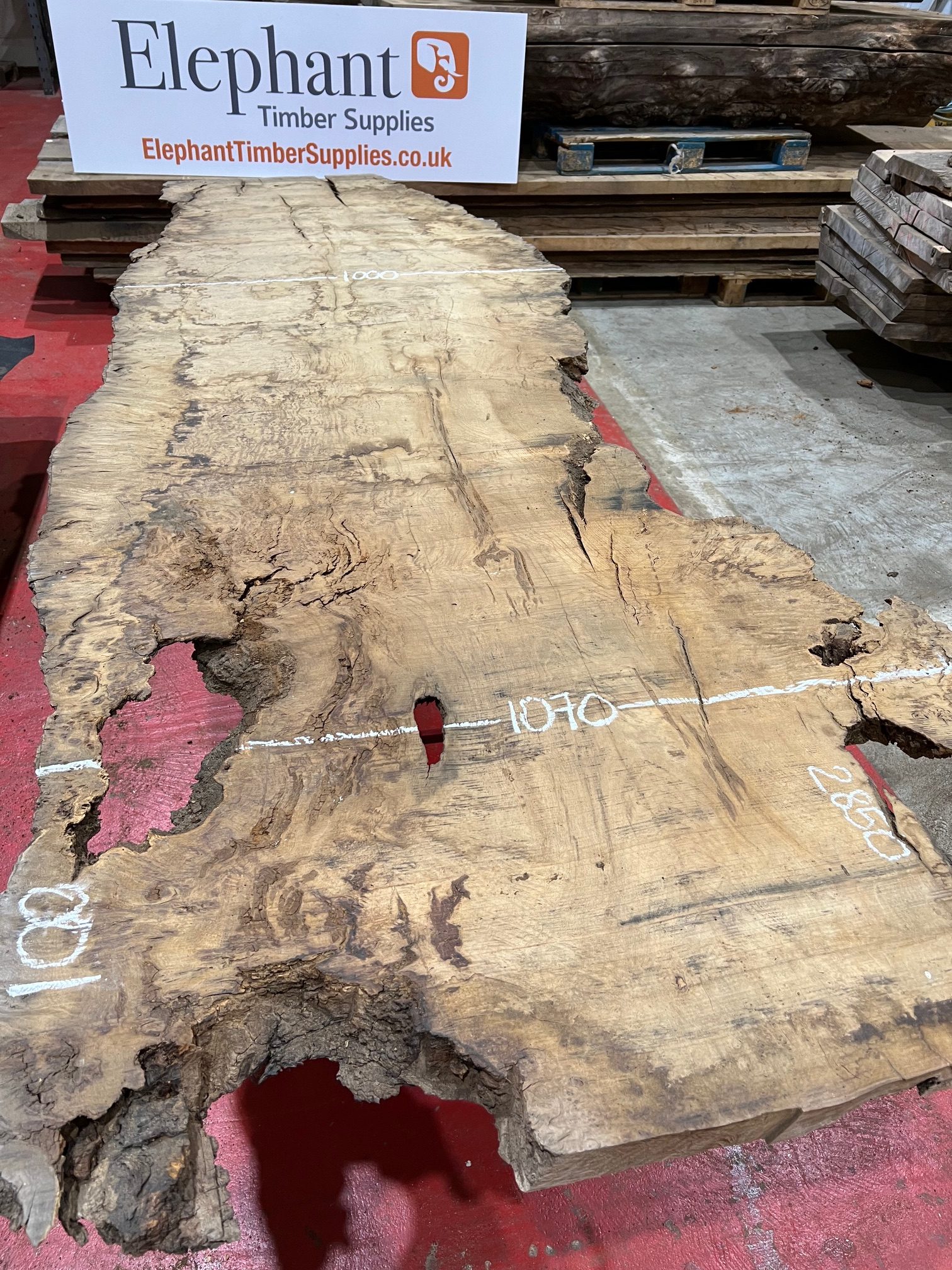 Burr Oak #001 ⁄ Elephant Timber Supplies