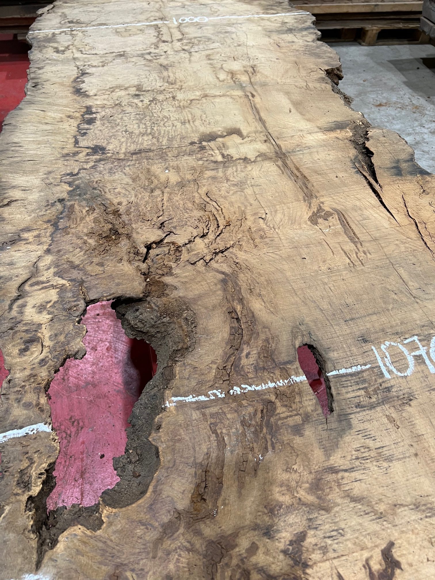 Burr Oak #001 ⁄ Elephant Timber Supplies