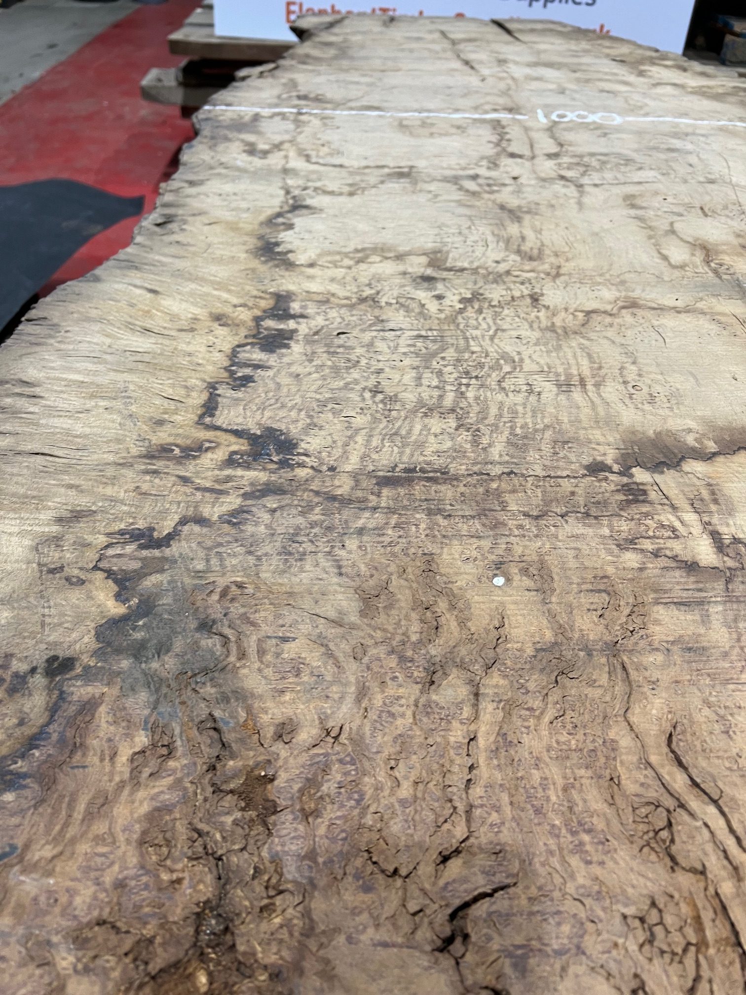 Burr Oak #001 ⁄ Elephant Timber Supplies