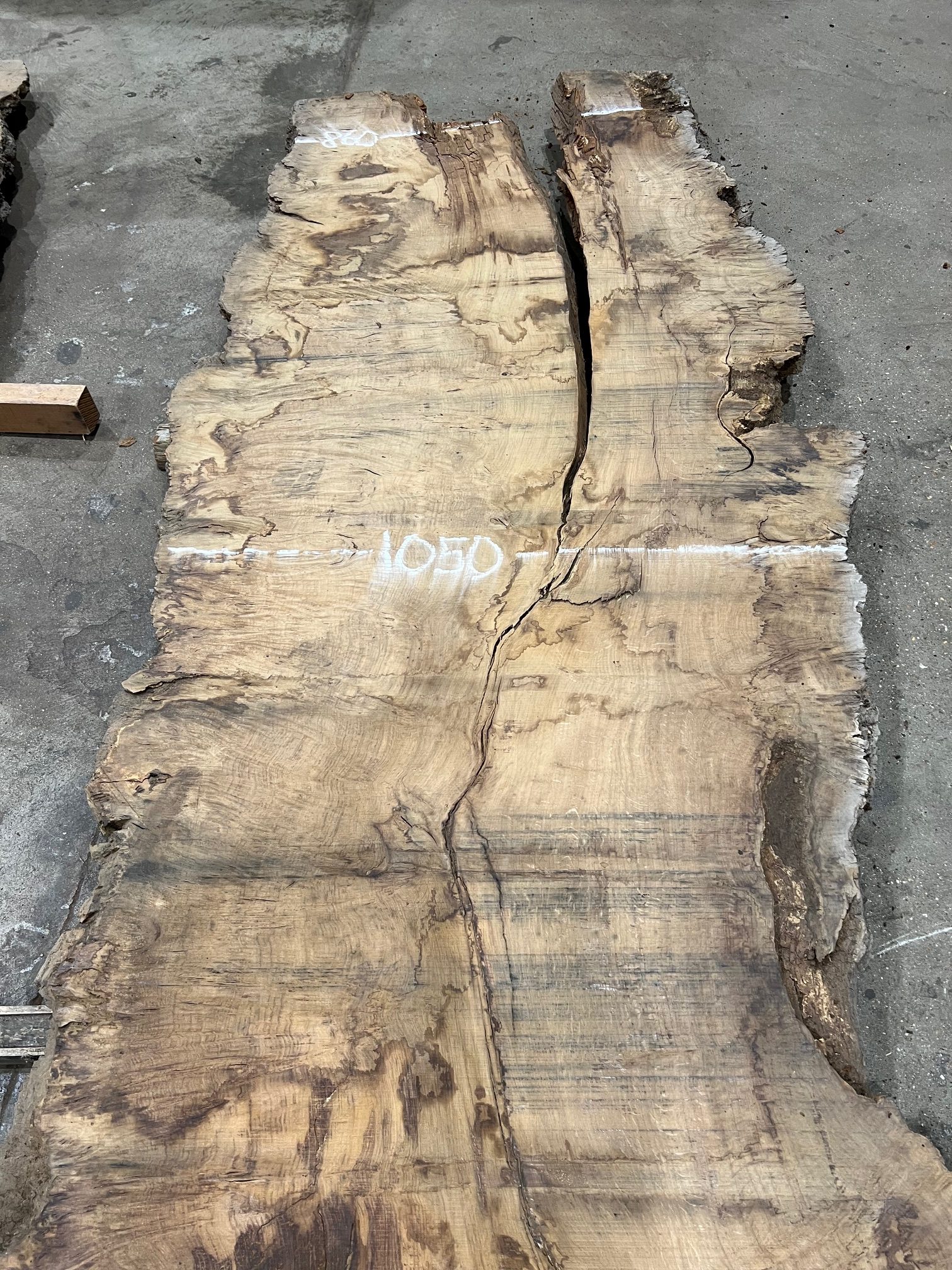 Burr Oak #004 ⁄ Elephant Timber Supplies