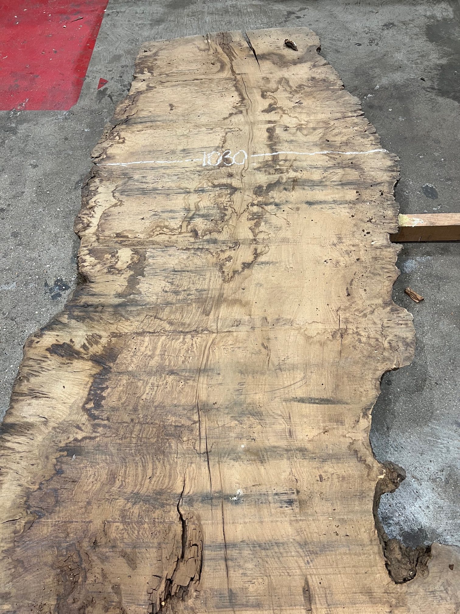 Burr Oak #005 ⁄ Elephant Timber Supplies
