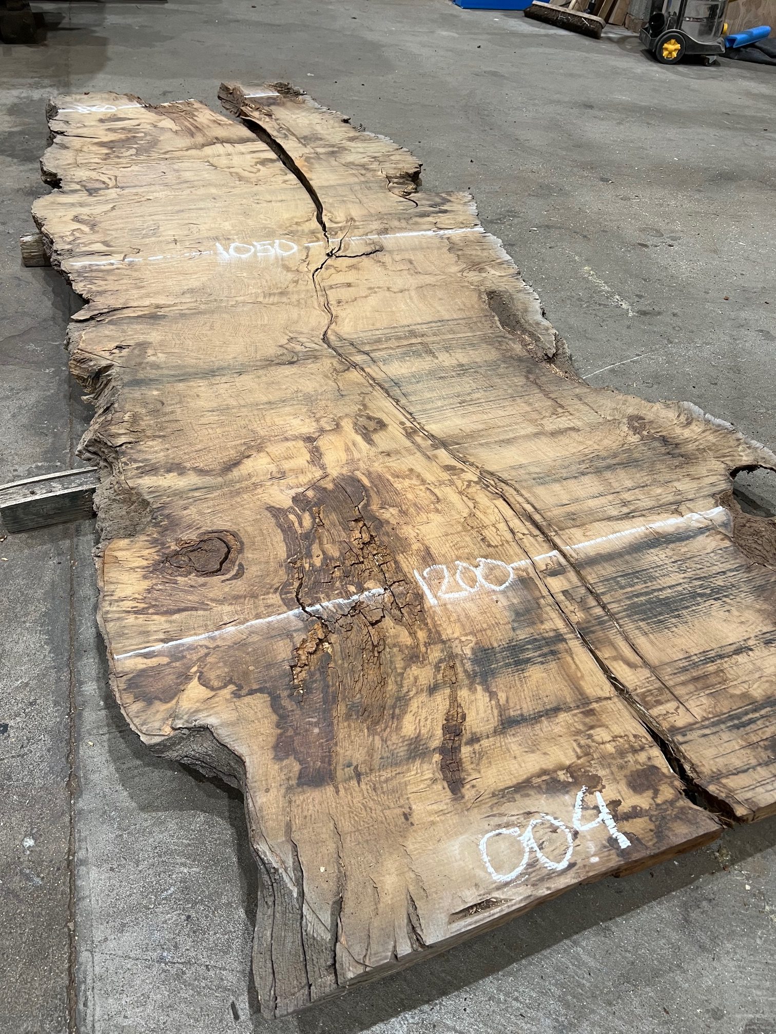 Burr Oak #004 ⁄ Elephant Timber Supplies