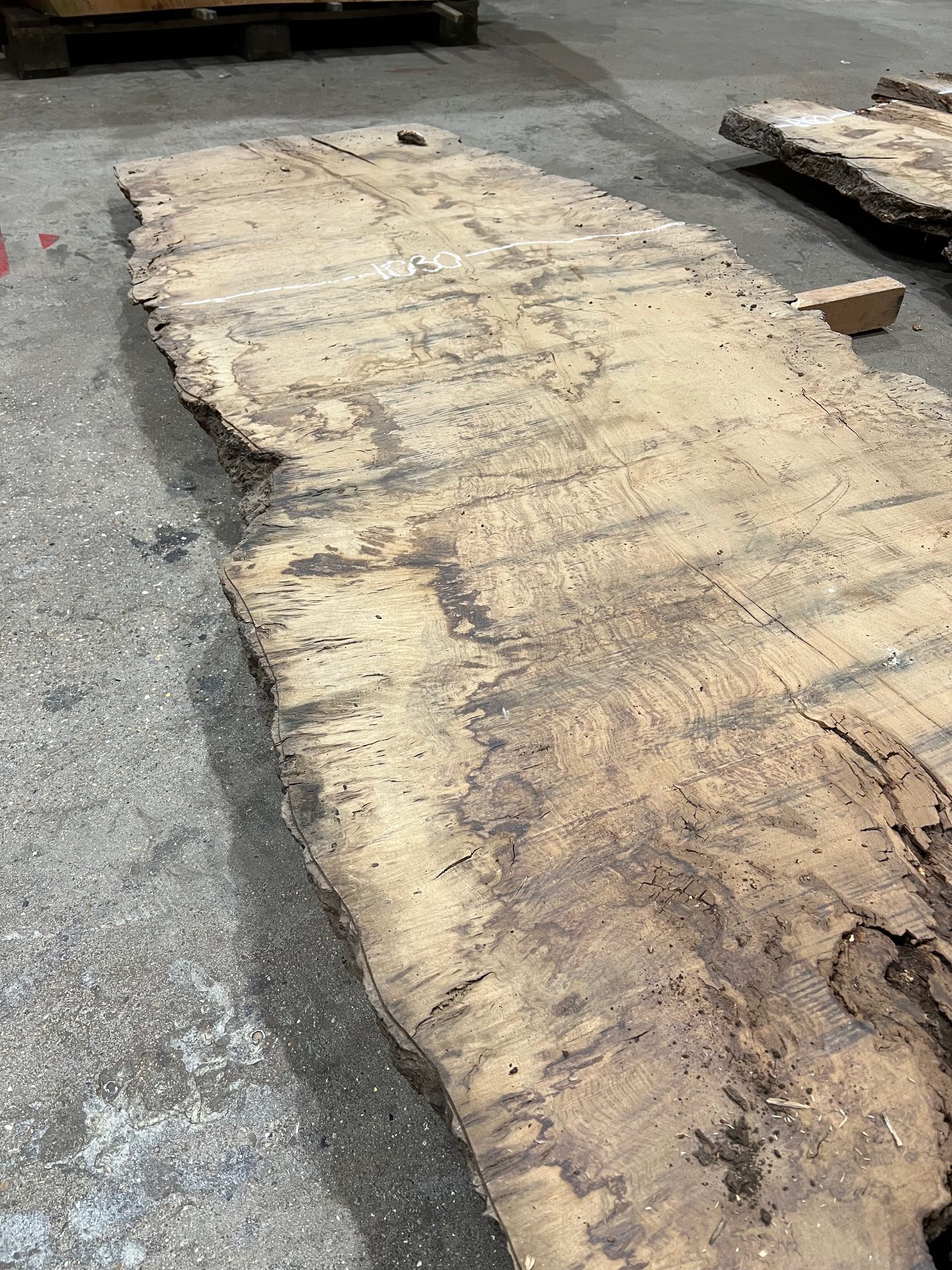 Burr Oak #005 ⁄ Elephant Timber Supplies