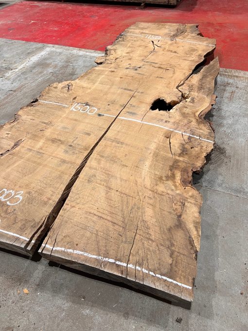 Burr Oak #003 ⁄ Elephant Timber Supplies