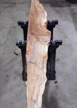 Premium Quality Kiln-Dried Yew Timber for Furniture, Flooring, and Millwork