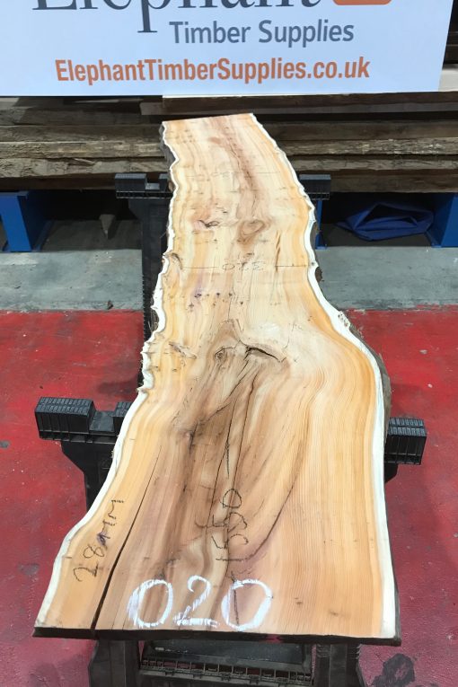 Premium Quality Kiln-Dried Yew Timber for Furniture, Flooring, and Millwork