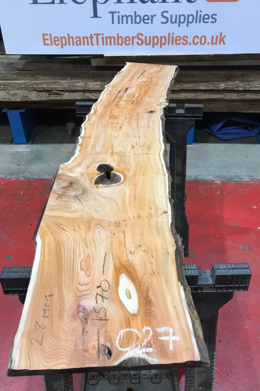 Premium Quality Kiln-Dried Yew Timber for Furniture, Flooring, and Millwork