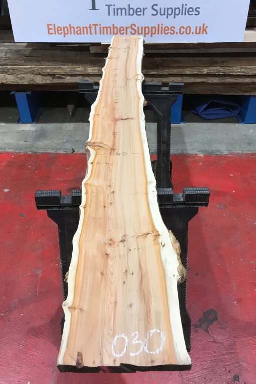 Premium Quality Kiln-Dried Yew Timber for Furniture, Flooring, and Millwork