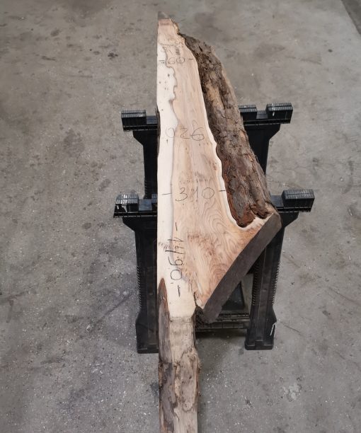 Premium Quality Kiln-Dried Yew Timber for Furniture, Flooring, and Millwork