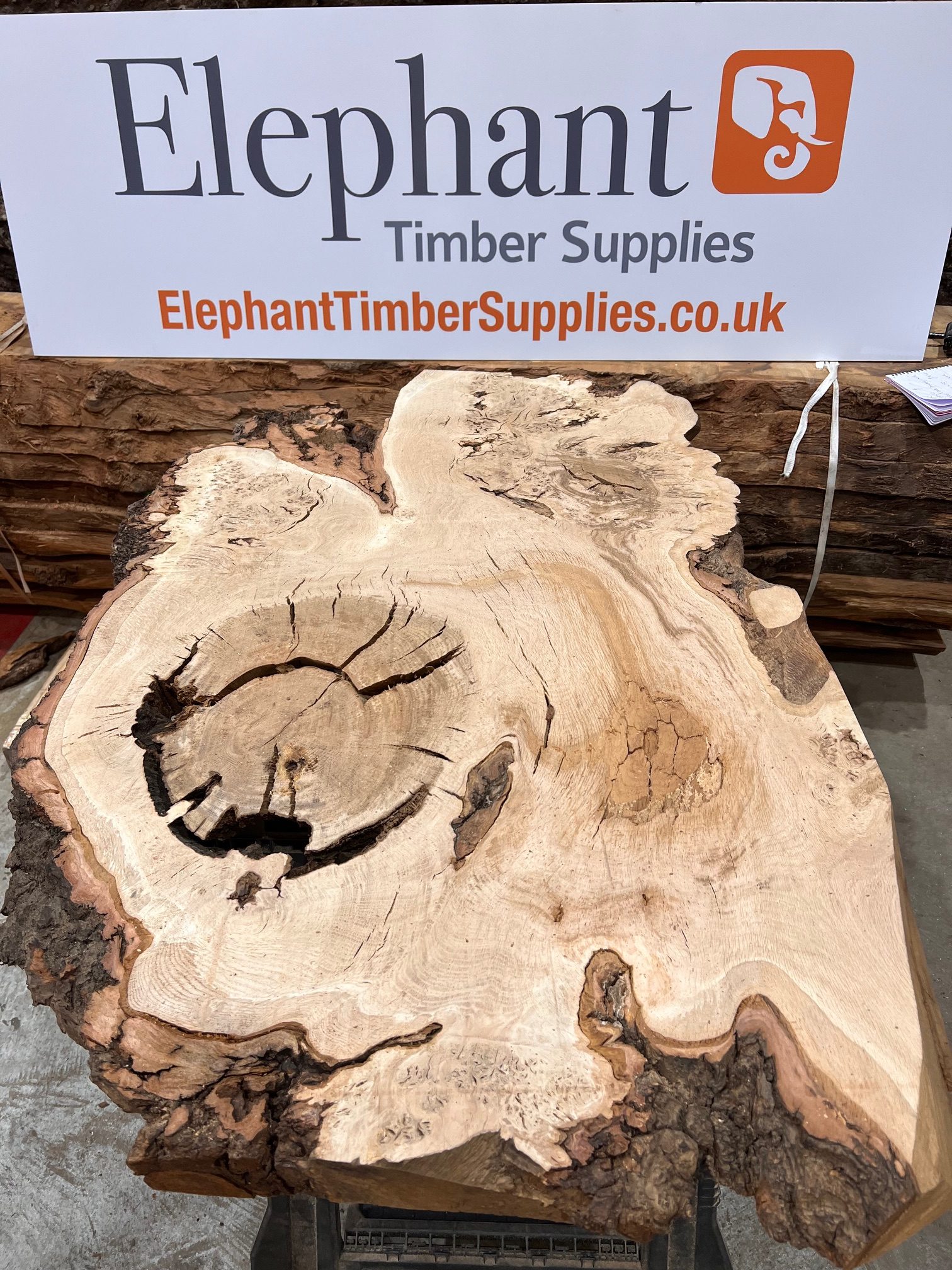 Burr Oak #042 ⁄ Elephant Timber Supplies