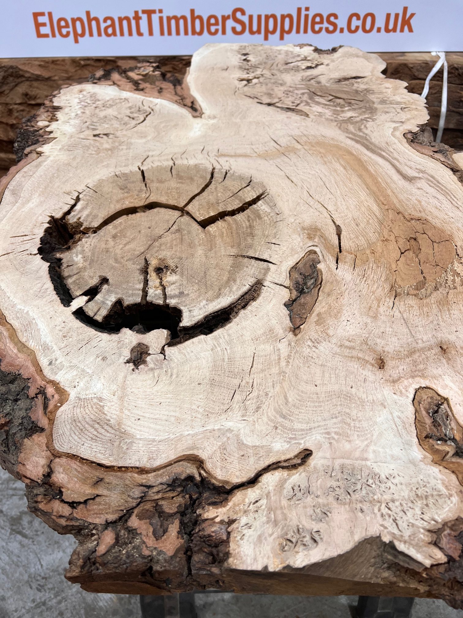 Burr Oak #042 ⁄ Elephant Timber Supplies