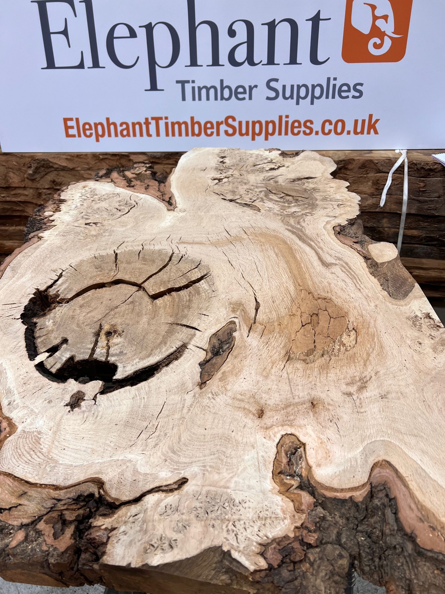 Burr Oak #042 ⁄ Elephant Timber Supplies