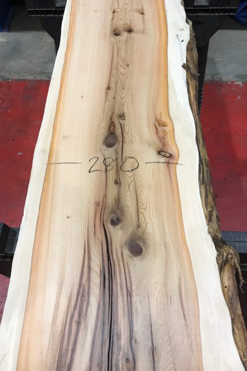 Premium Quality Kiln-Dried Yew Timber for Furniture, Flooring, and Millwork