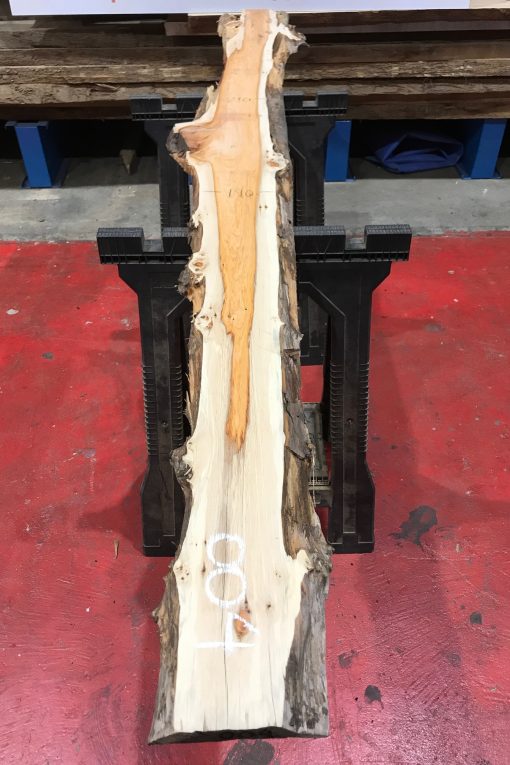 Premium Quality Kiln-Dried Yew Timber for Furniture, Flooring, and Millwork