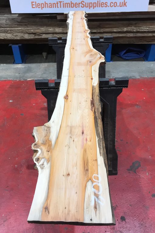 Premium Quality Kiln-Dried Yew Timber for Furniture, Flooring, and Millwork