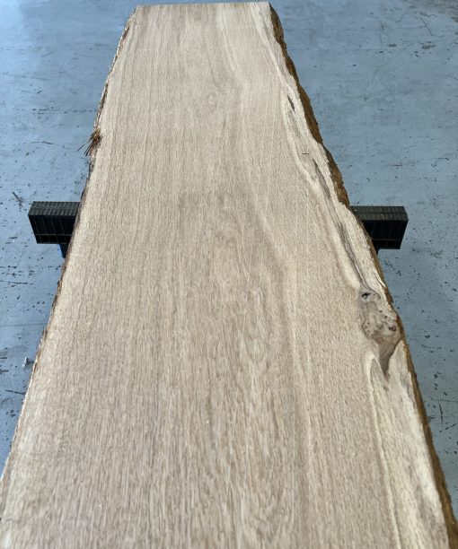 Live Edge Timber Shop ⁄ Elephant Timber Supplies