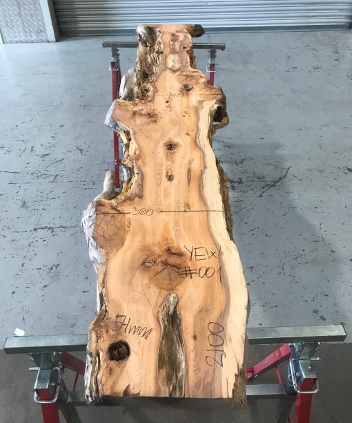 Premium Quality Kiln-Dried Yew Timber for Furniture, Flooring, and Millwork