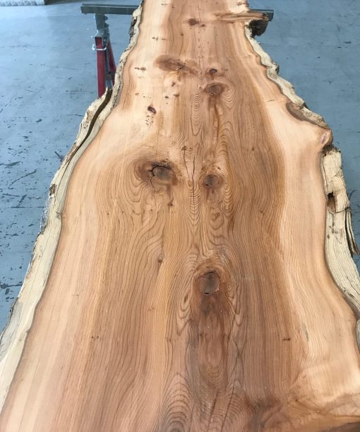 Yew #052 Kiln Dried Plank ⁄ Elephant Timber Supplies