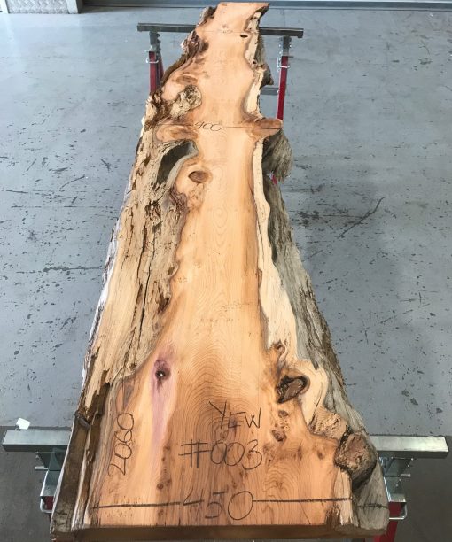Premium Quality Kiln-Dried Yew Timber for Furniture, Flooring, and Millwork
